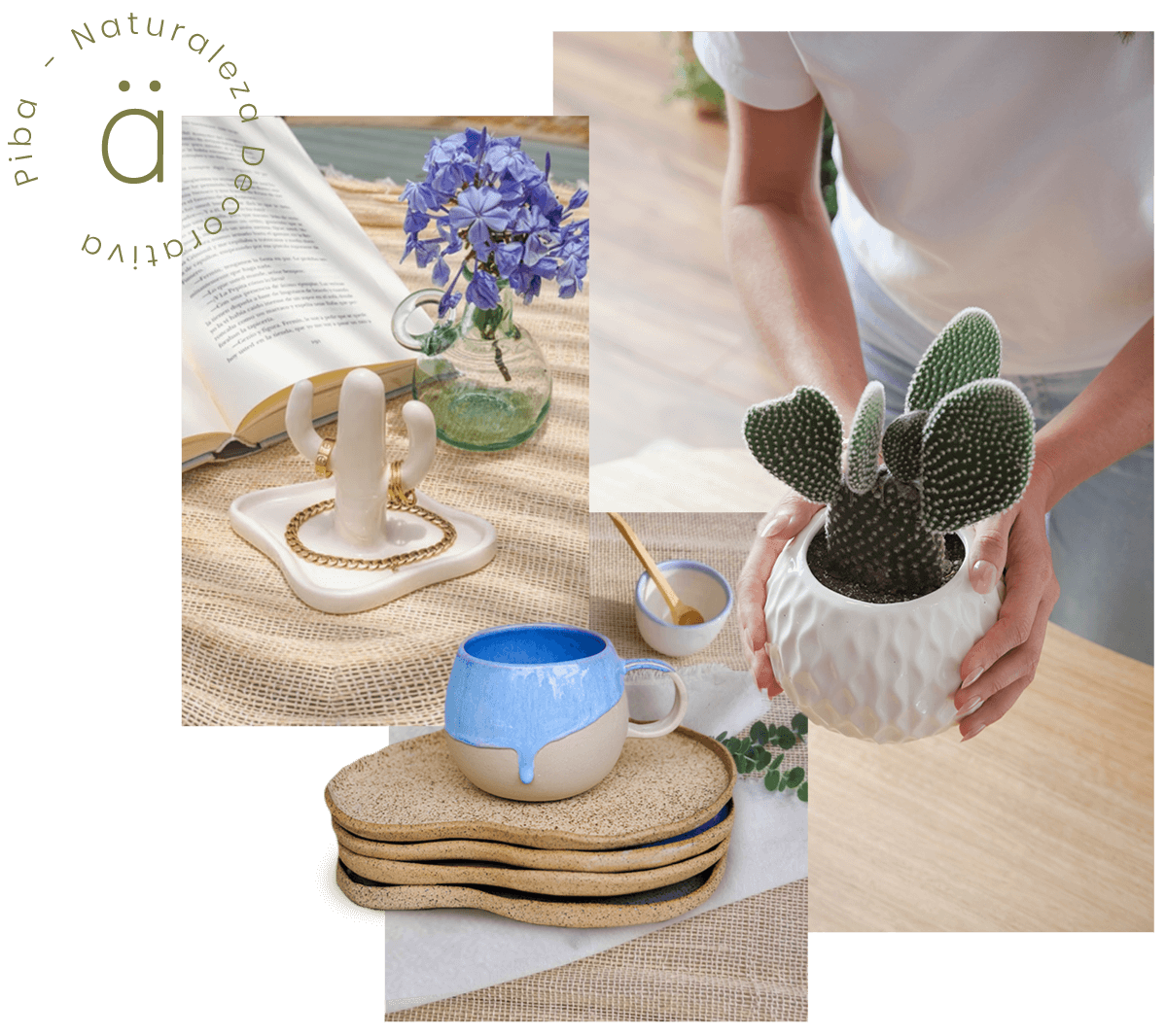 No tengas miedo a creer en tus ideas financieras - Casos de éxito: Piba ...